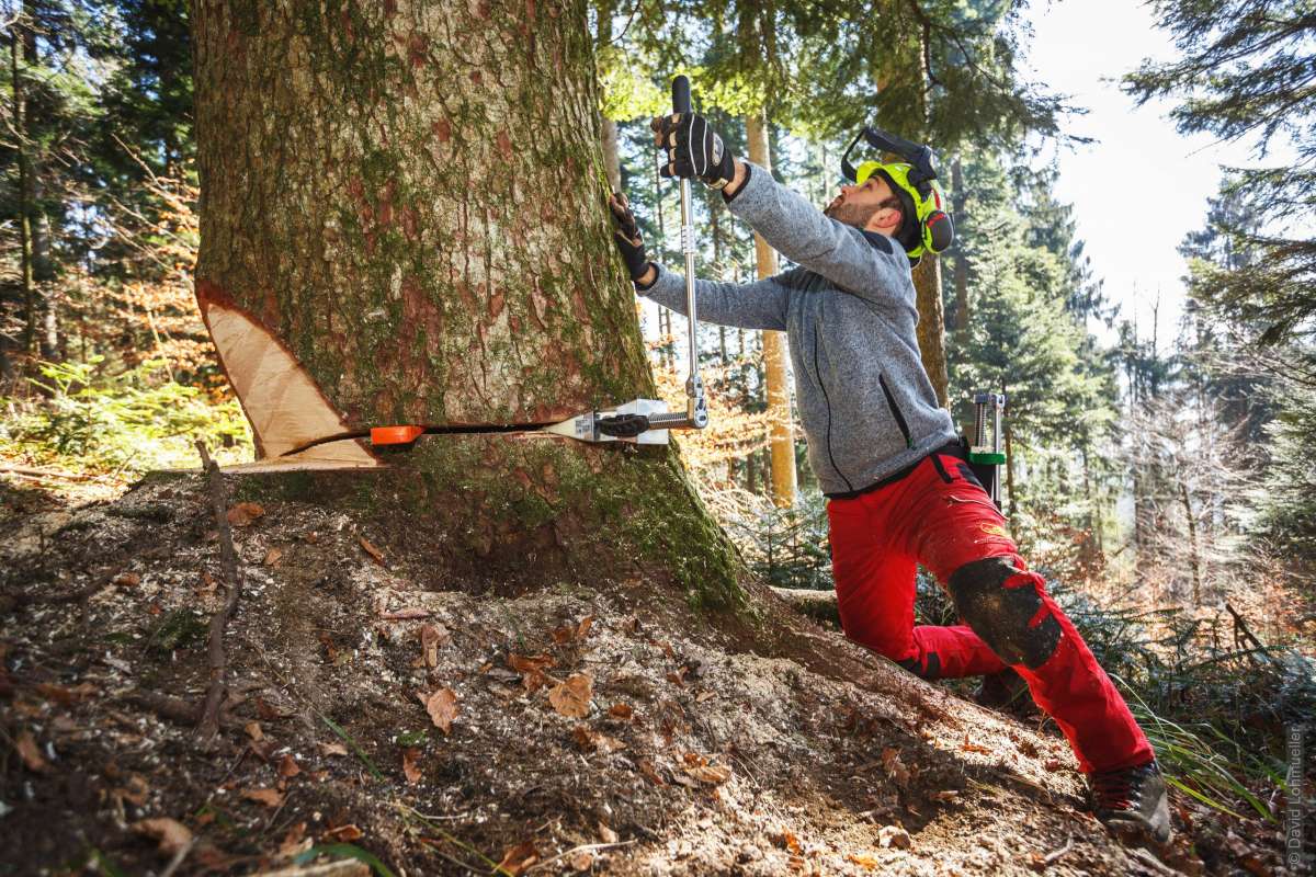 Forstreich Mechanischer Fällkeil TR 30 | Keile | Forstwerkzeug | Forst ...